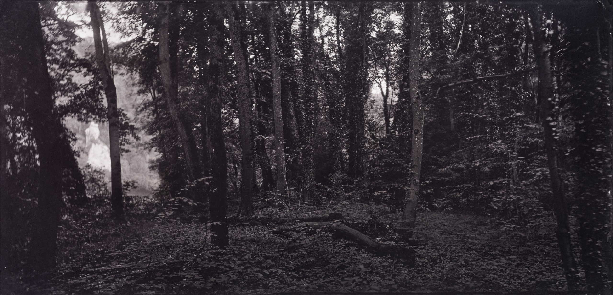 holocene - Maximilian Zeitler - Wet Plate Collodion Photography