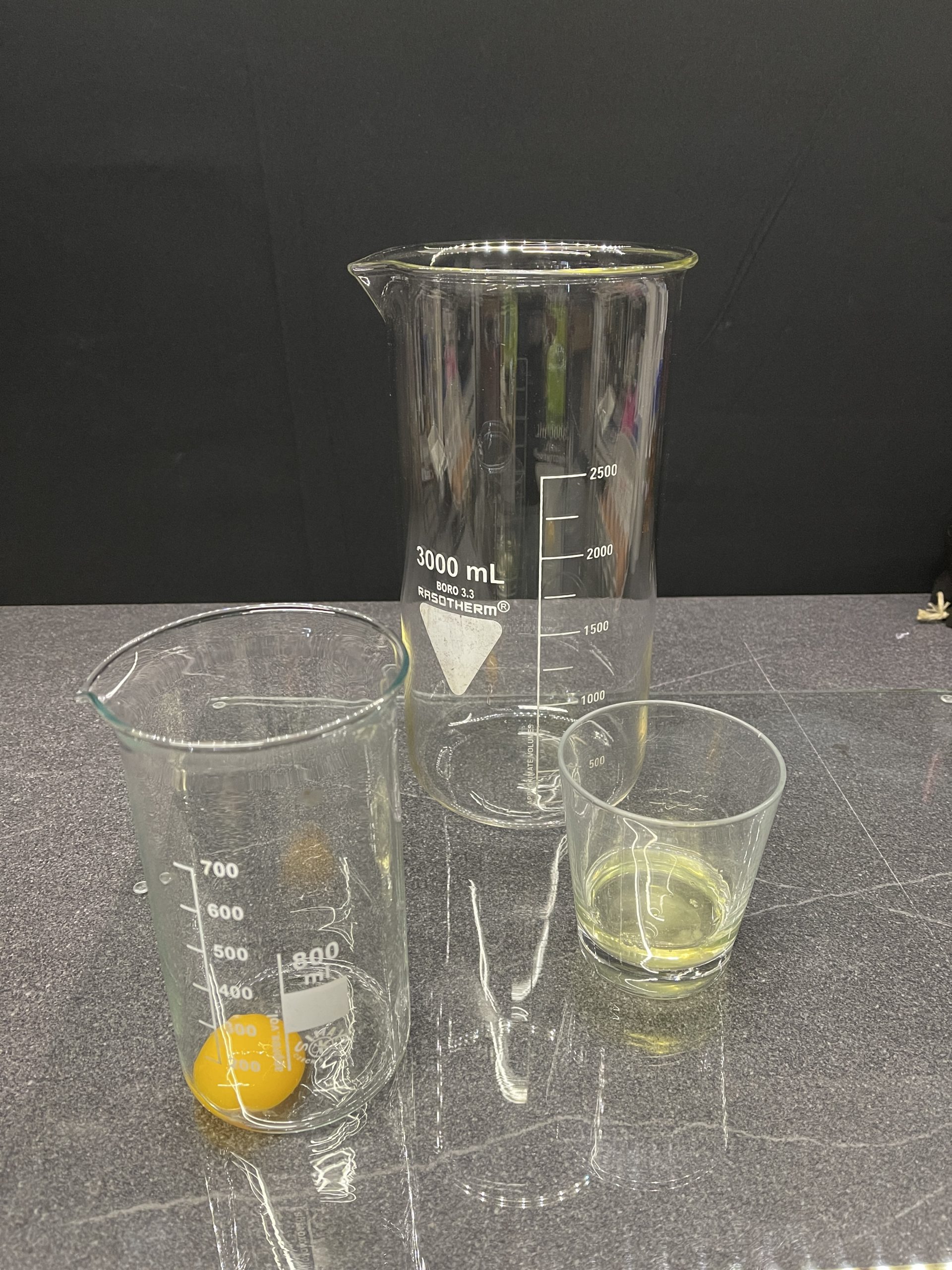 Making albumen paper - Maximilian Zeitler